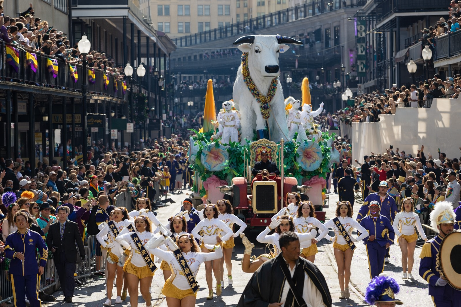 Mardi Gras 2026: History, Traditions, and Where to Celebrate - Socimag